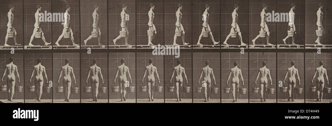 Eadweard muybridge's study hi-res stock photography and images - Alamy