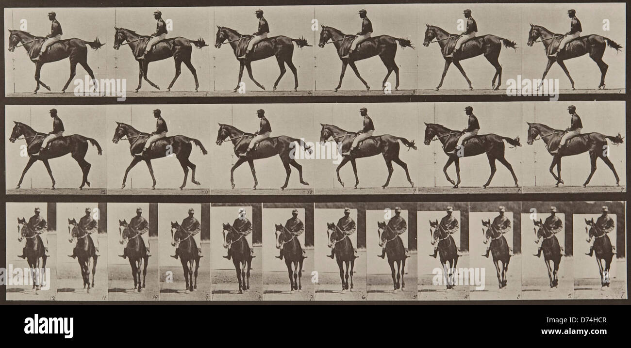 Eadweard J. Muybridge’s iconic photograph from his series “Animal ...