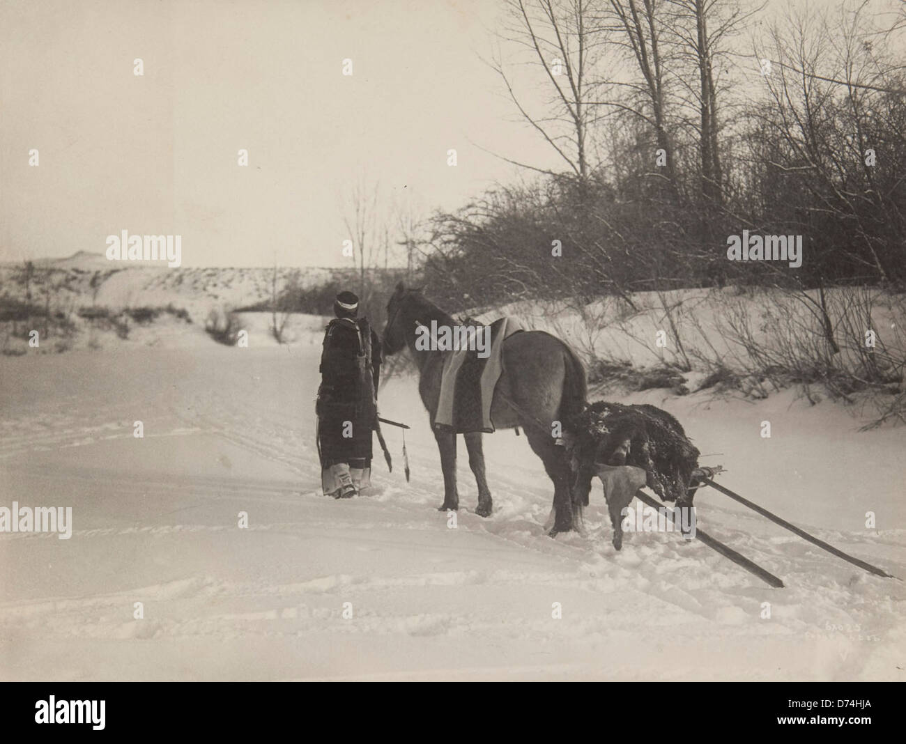 This photograph depicts a Native American man with a horse pulling a ...
