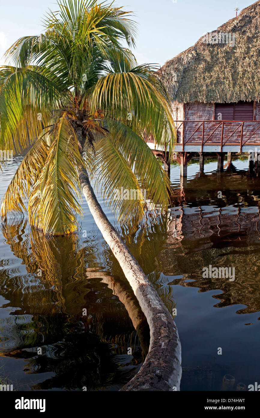 Guama resort hi-res stock photography and images - Alamy