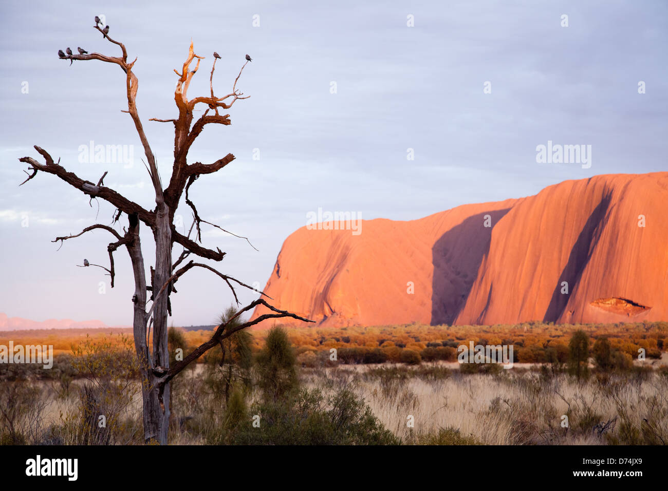 Uluru - Ayers Rock. Aboriginal sacred place. UNESO world heritage ...