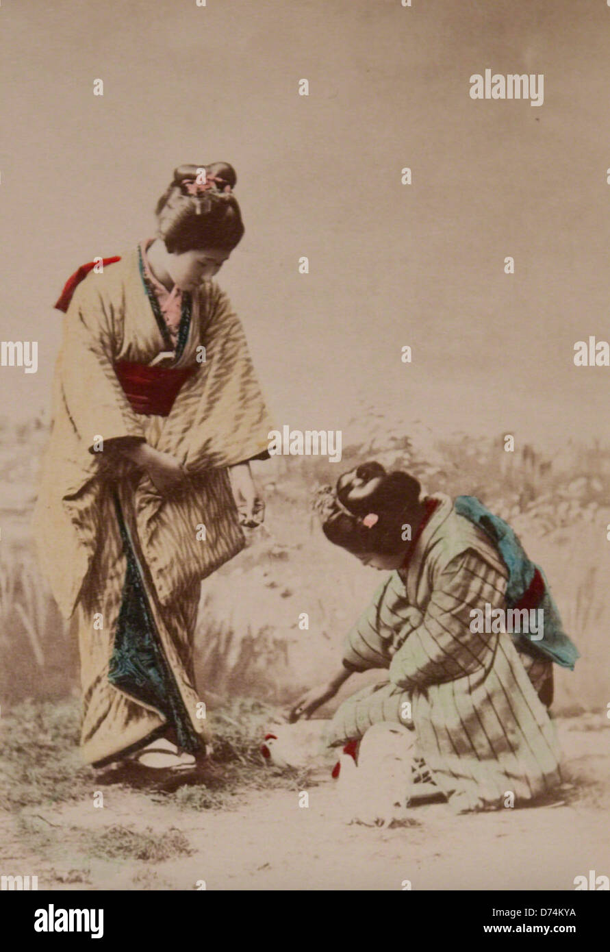 A photograph capturing the act of feeding chickens, reflecting rural ...