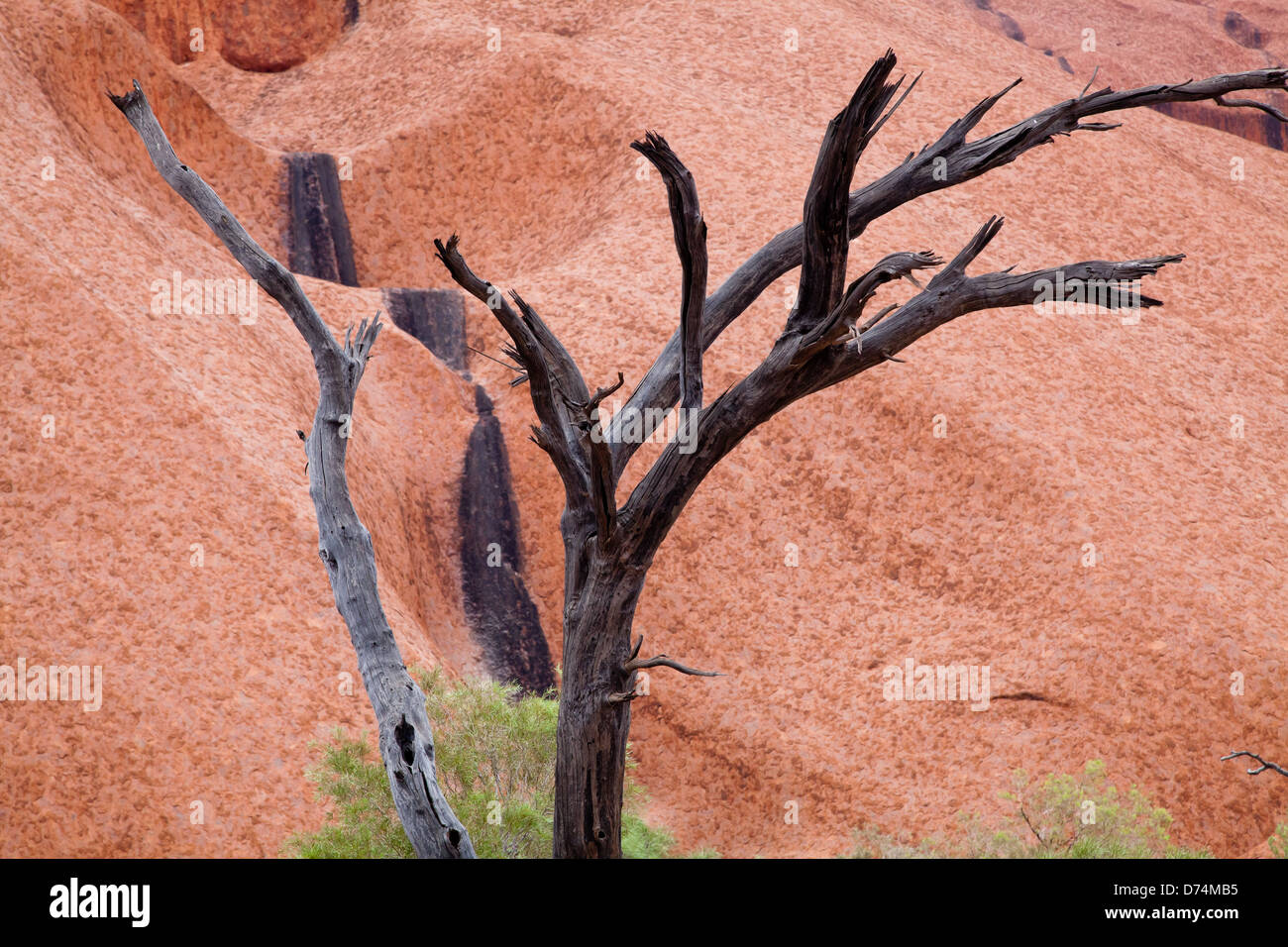 Uluru - Ayers Rock. Aboriginal sacred place. UNESO world heritage. Red ...