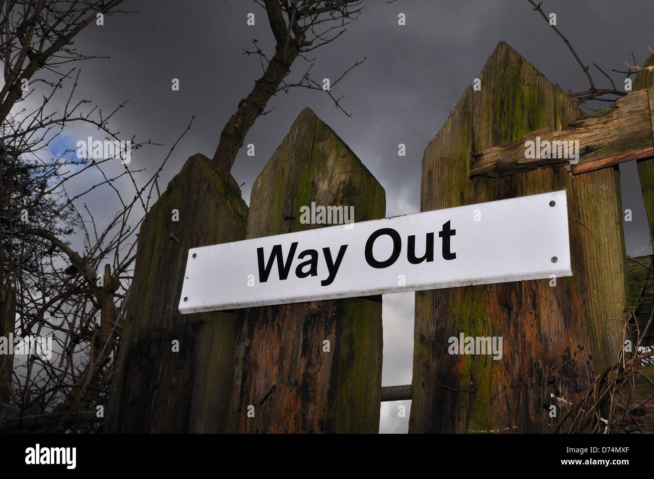 Way Out sign against dark sky background Stock Photo - Alamy