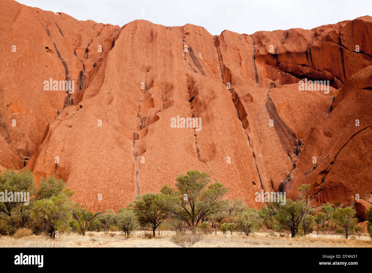 Uluru - Ayers Rock. Aboriginal sacred place. UNESO world heritage. Red ...