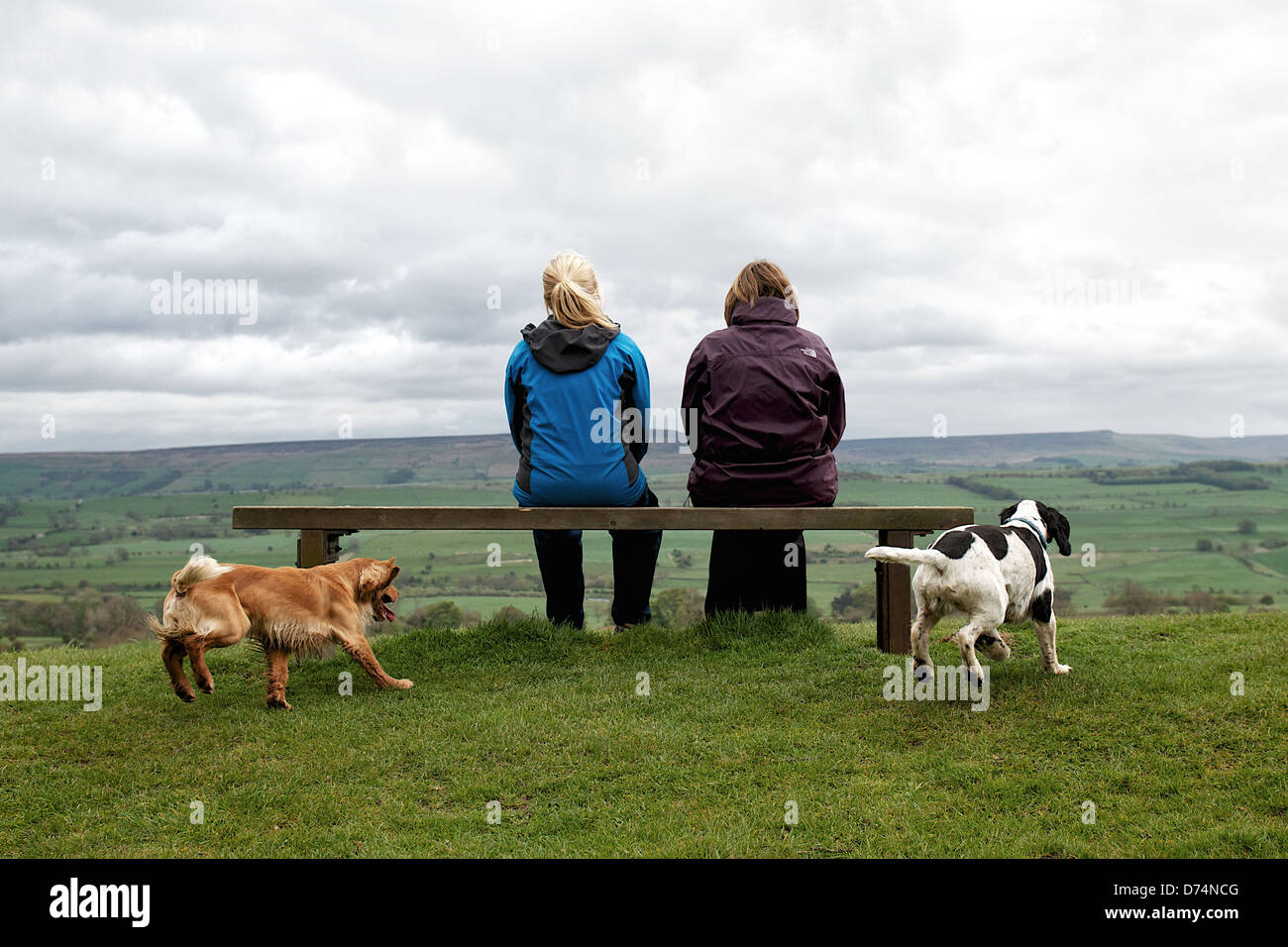 Women walking 2 dogs hi-res stock photography and images - Alamy