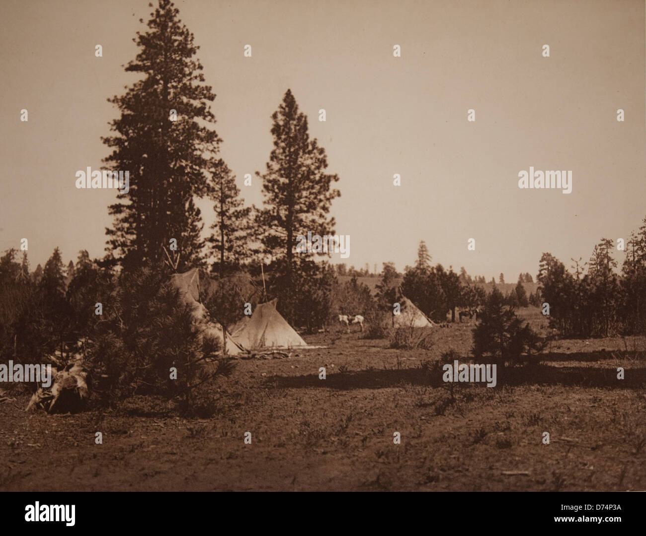 A historical photograph capturing a camp of the Yakima, an Indigenous ...