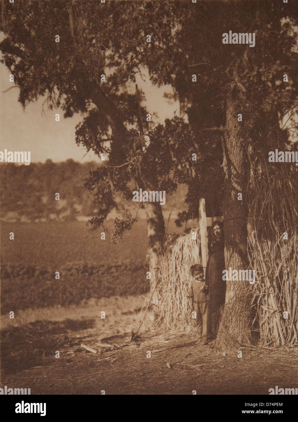 This photograph depicts a camp under the oaks near Lake Pomo, capturing ...