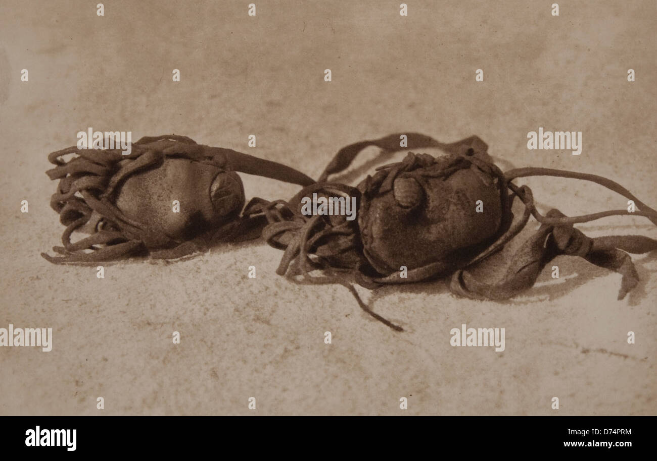 This photograph features buffalo stones used by the Piegan people, a ...