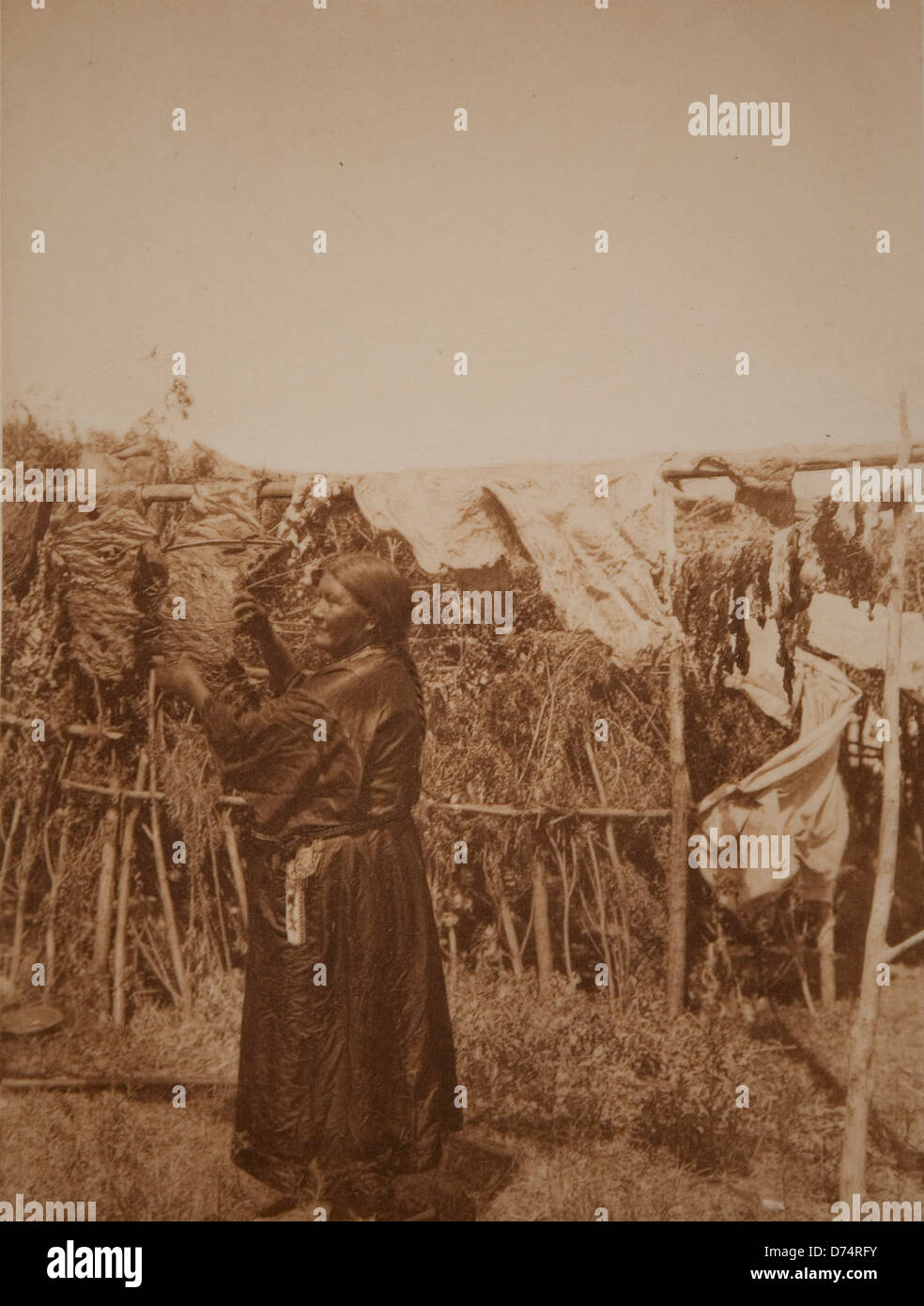 This photograph captures the traditional practice of drying meat in ...