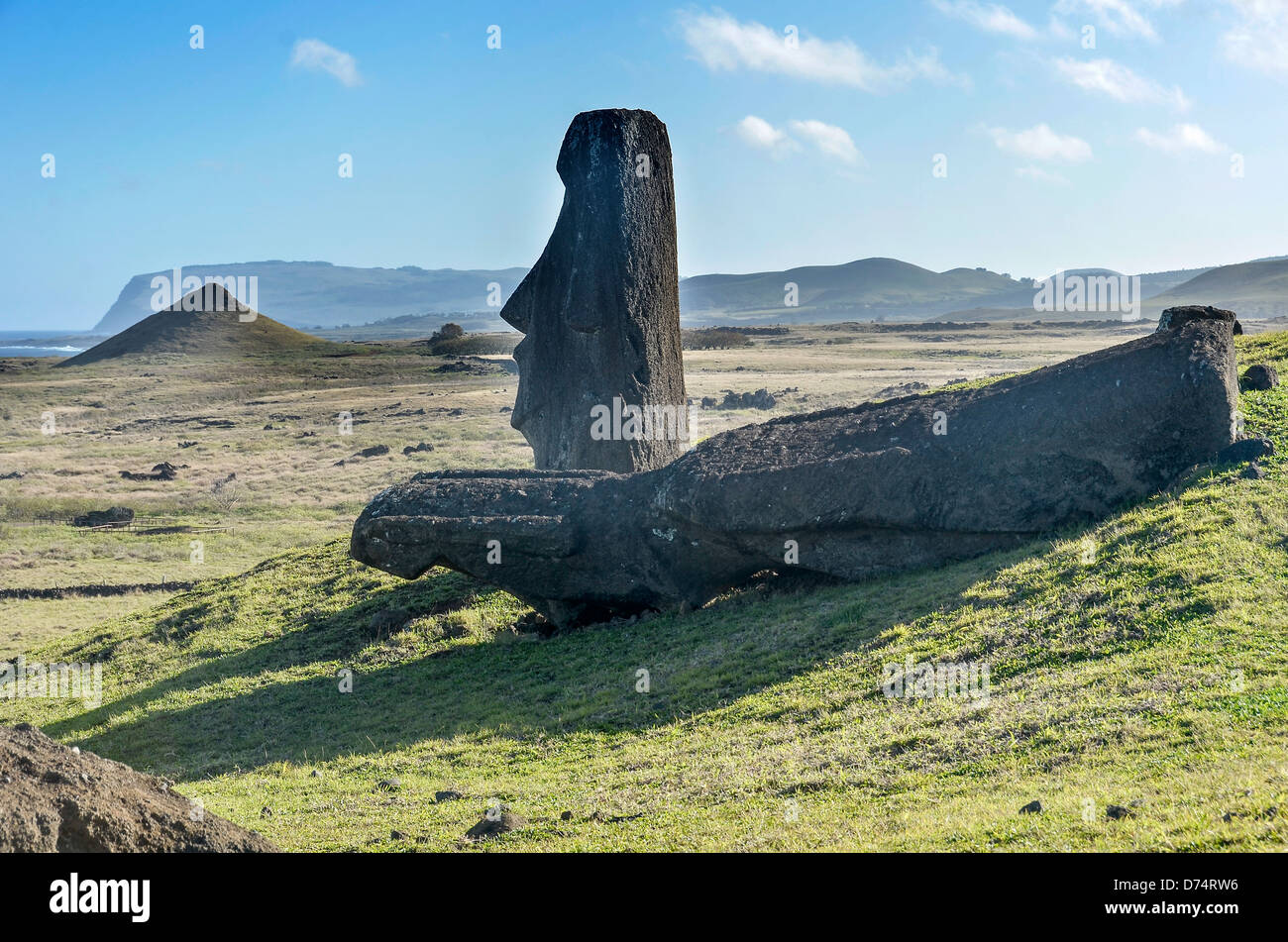 Moai at Rano Raraku quarry, Easter Island Stock Photo - Alamy