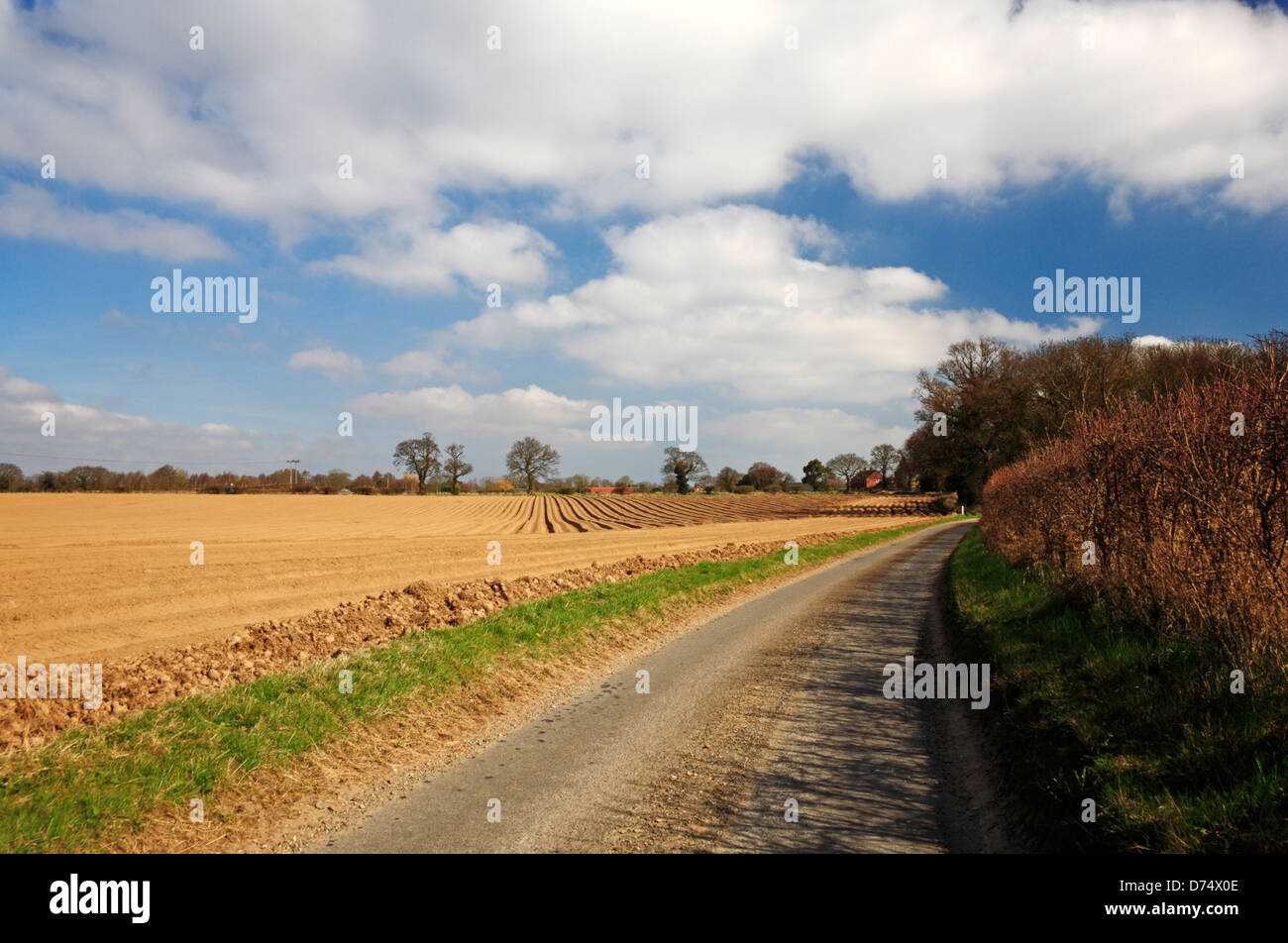 A small country road winding through farmland at Catfield, Norfolk ...