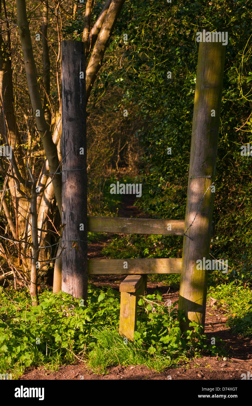 Style on hi-res stock photography and images - Alamy