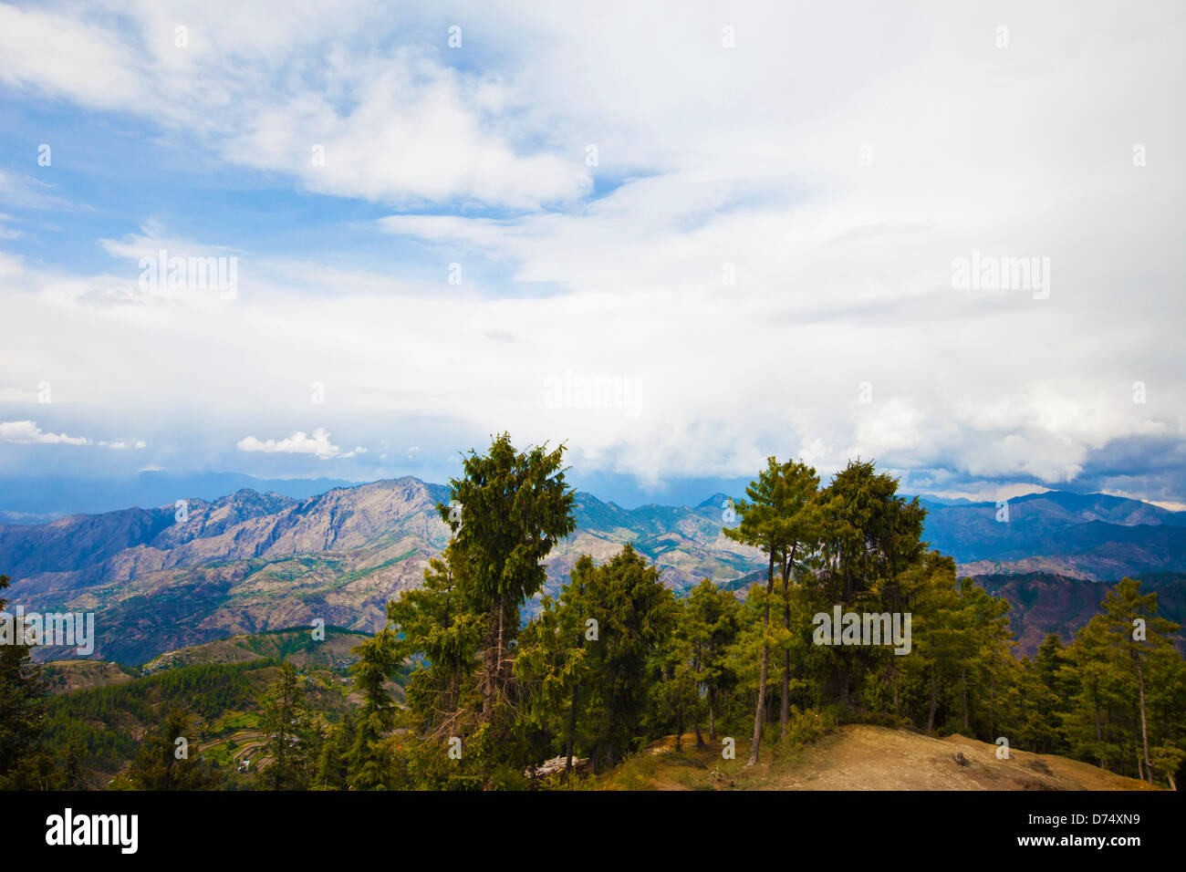Trees with mountain range in the background, Kufri, Shimla, Himachal ...