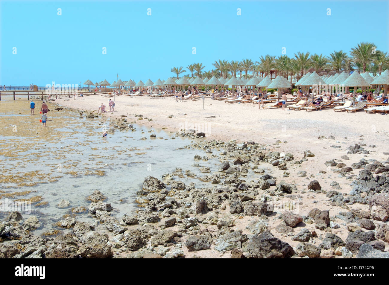 Low tide on coral beach, Sharm el-Sheikh, Sinai Peninsula, Egypt Stock ...