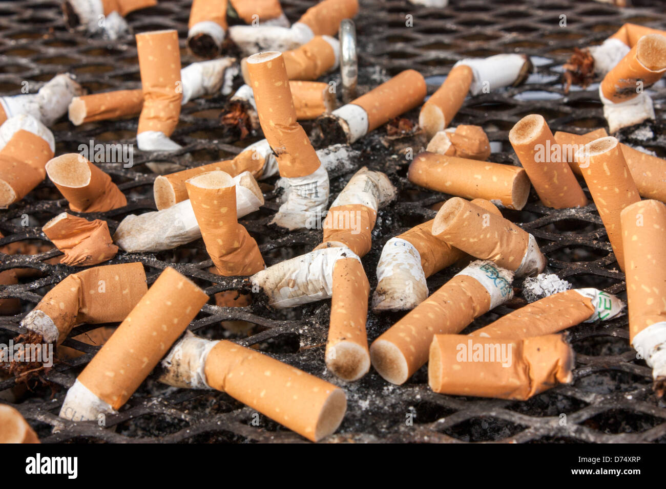 Pieces of cigarettes on ashtray Stock Photo - Alamy