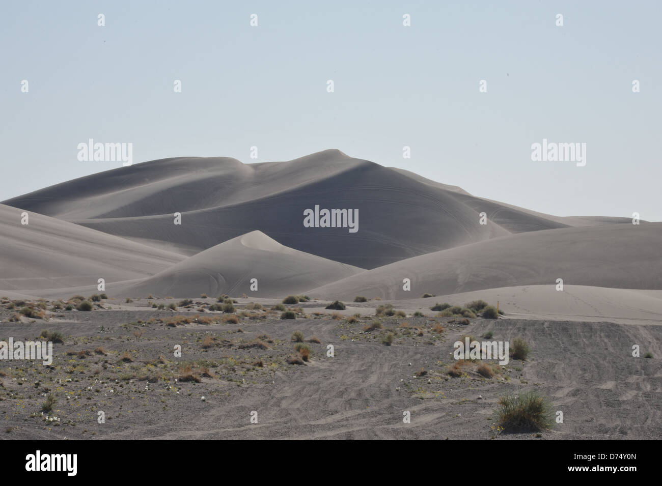 Sand Dunes in the state of Nevada Stock Photo - Alamy