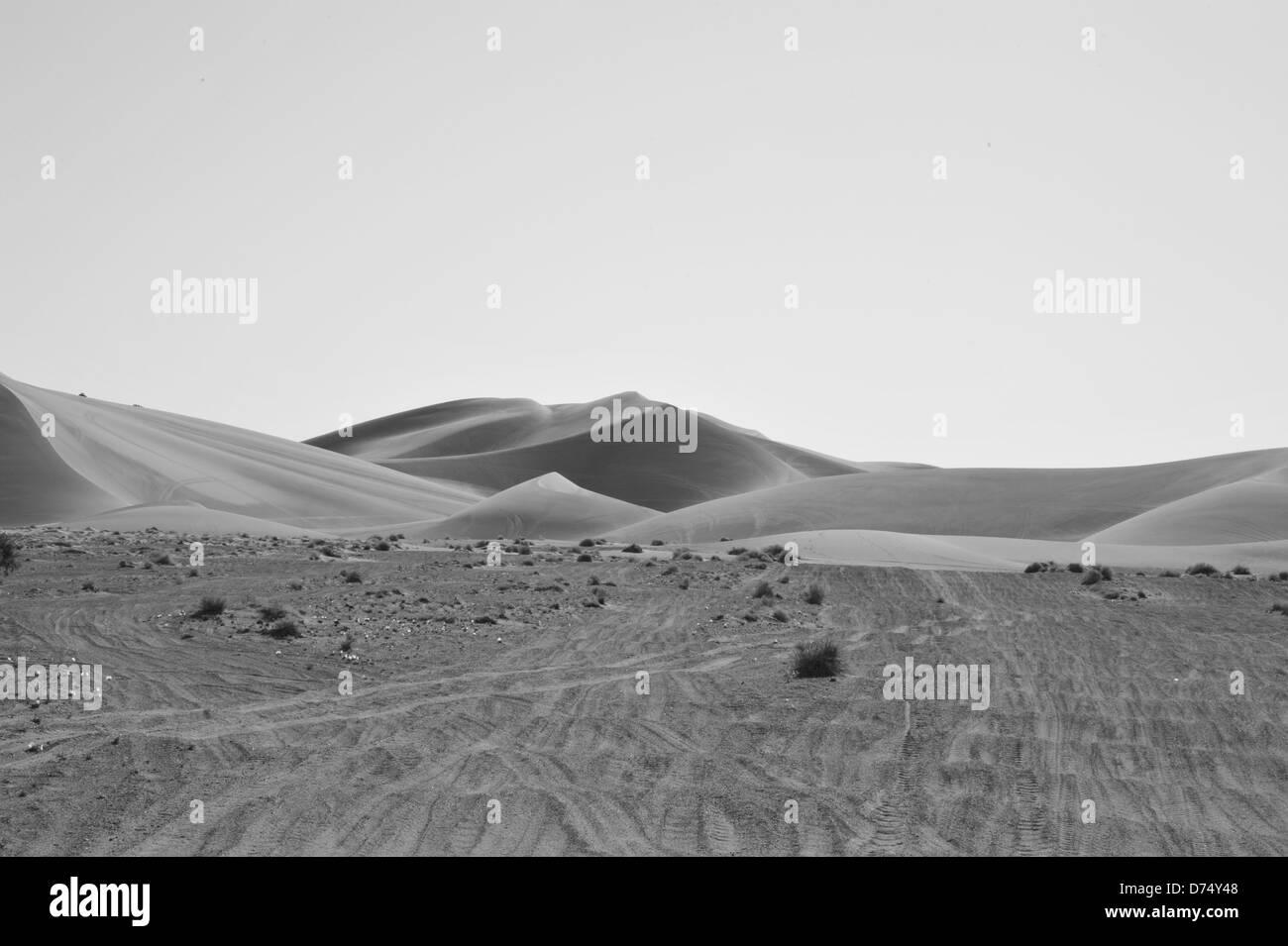 Sand Dunes in the state of Nevada Stock Photo - Alamy