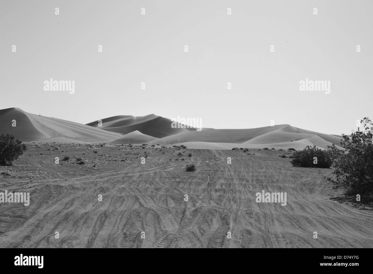 Sand Dunes in the state of Nevada Stock Photo - Alamy