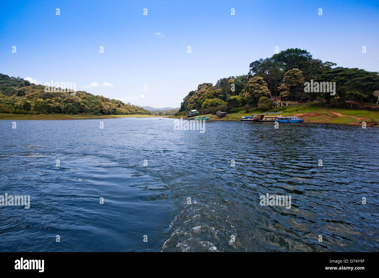 Trees in a forest at the lakeside, Thekkady Lake, Thekkady, Periyar ...