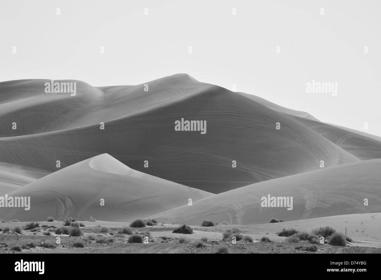 Sand Dunes in the state of Nevada Stock Photo - Alamy