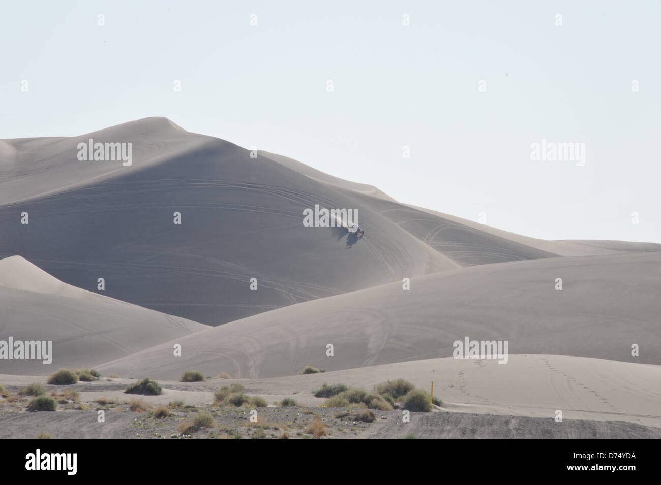 Sand Dunes in the state of Nevada Stock Photo - Alamy