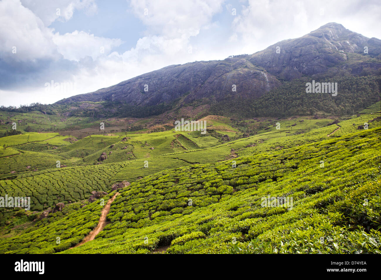 Idukki Kerala High Resolution Stock Photography and Images - Alamy