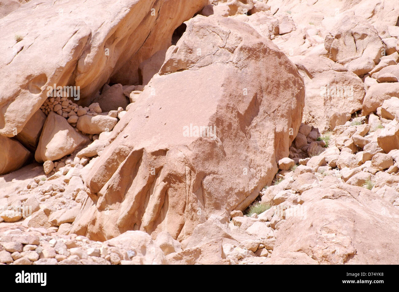 rock - foot, Sinai Peninsula, Egypt Stock Photo - Alamy
