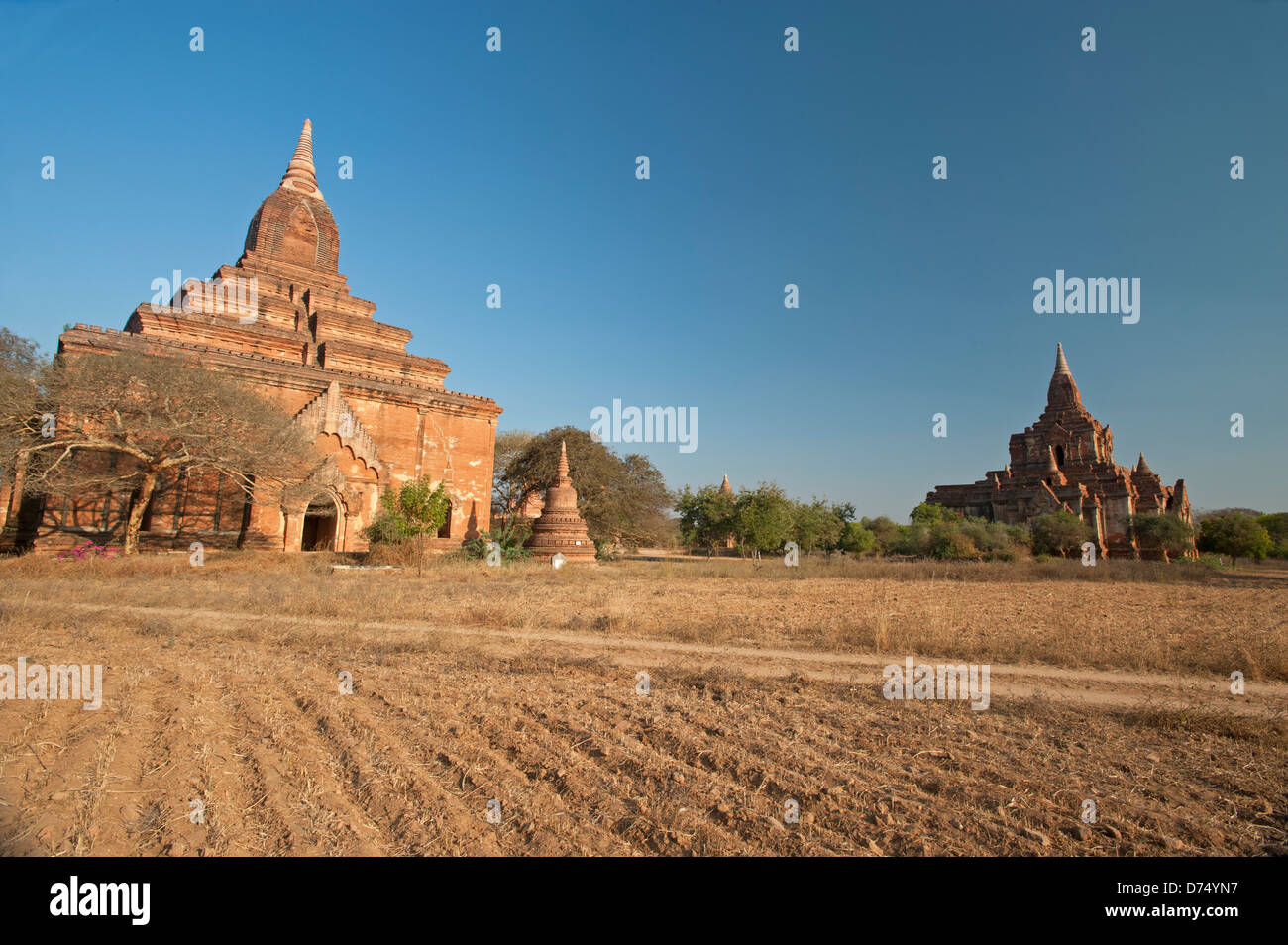 Golden glowing red brick temple spires at sunset Bagan Myanmar (Burma ...
