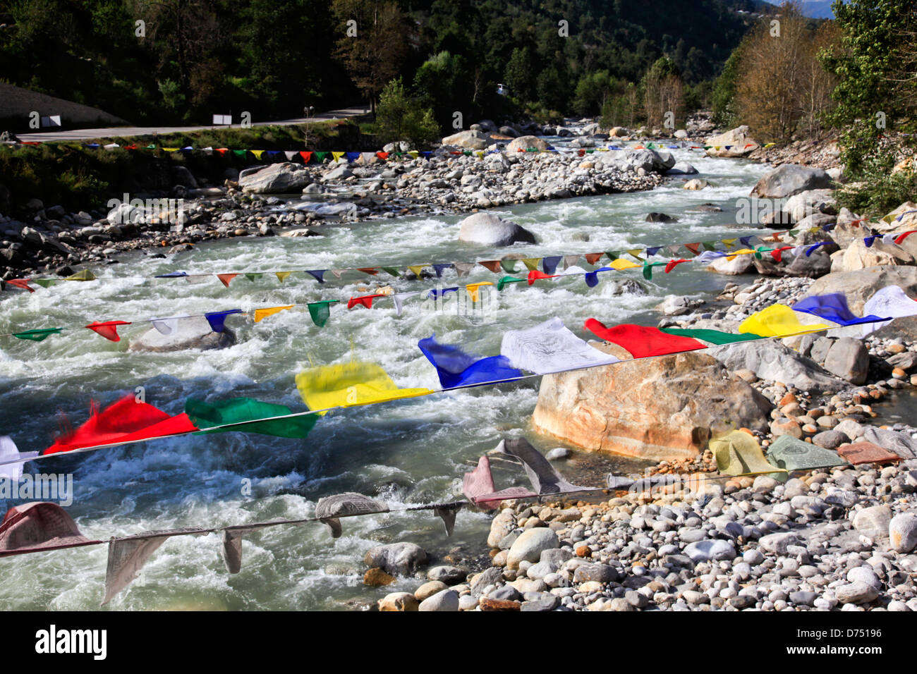 Over hanging tree shadow hi-res stock photography and images - Alamy