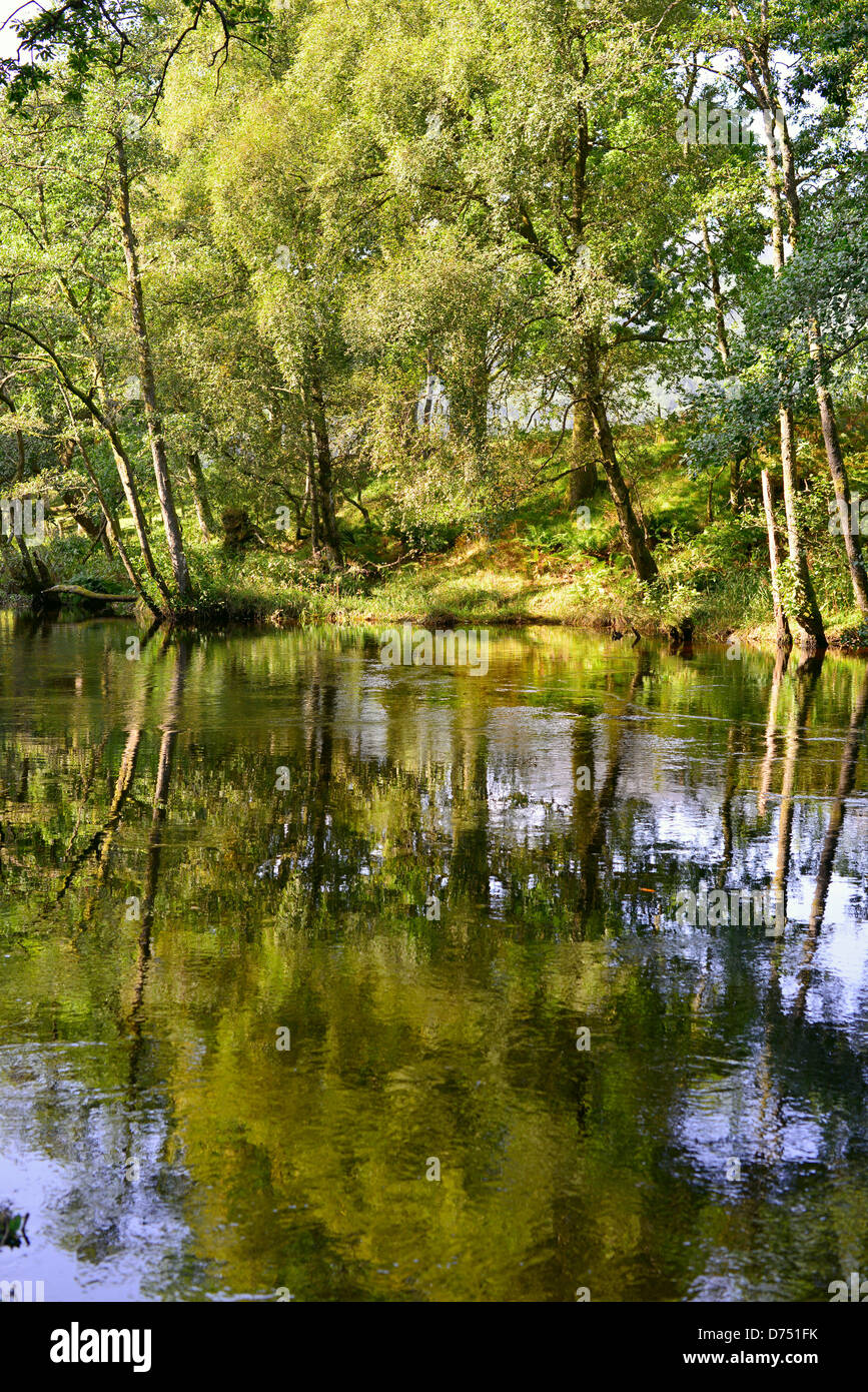 The River Earn at Comrie Perthshire Scotland UK Spring summer ...