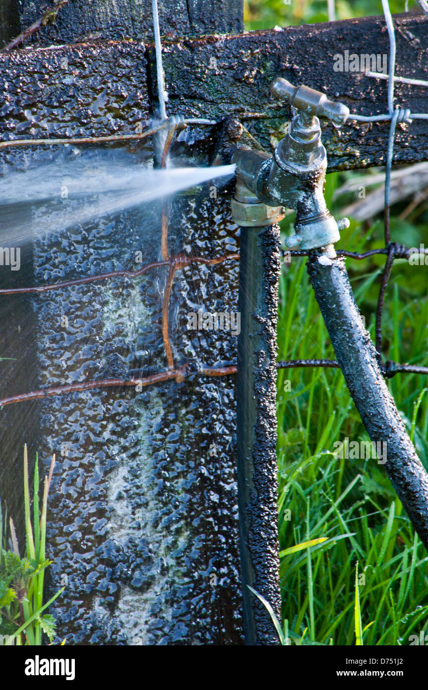 leaking tap on farm Stock Photo - Alamy
