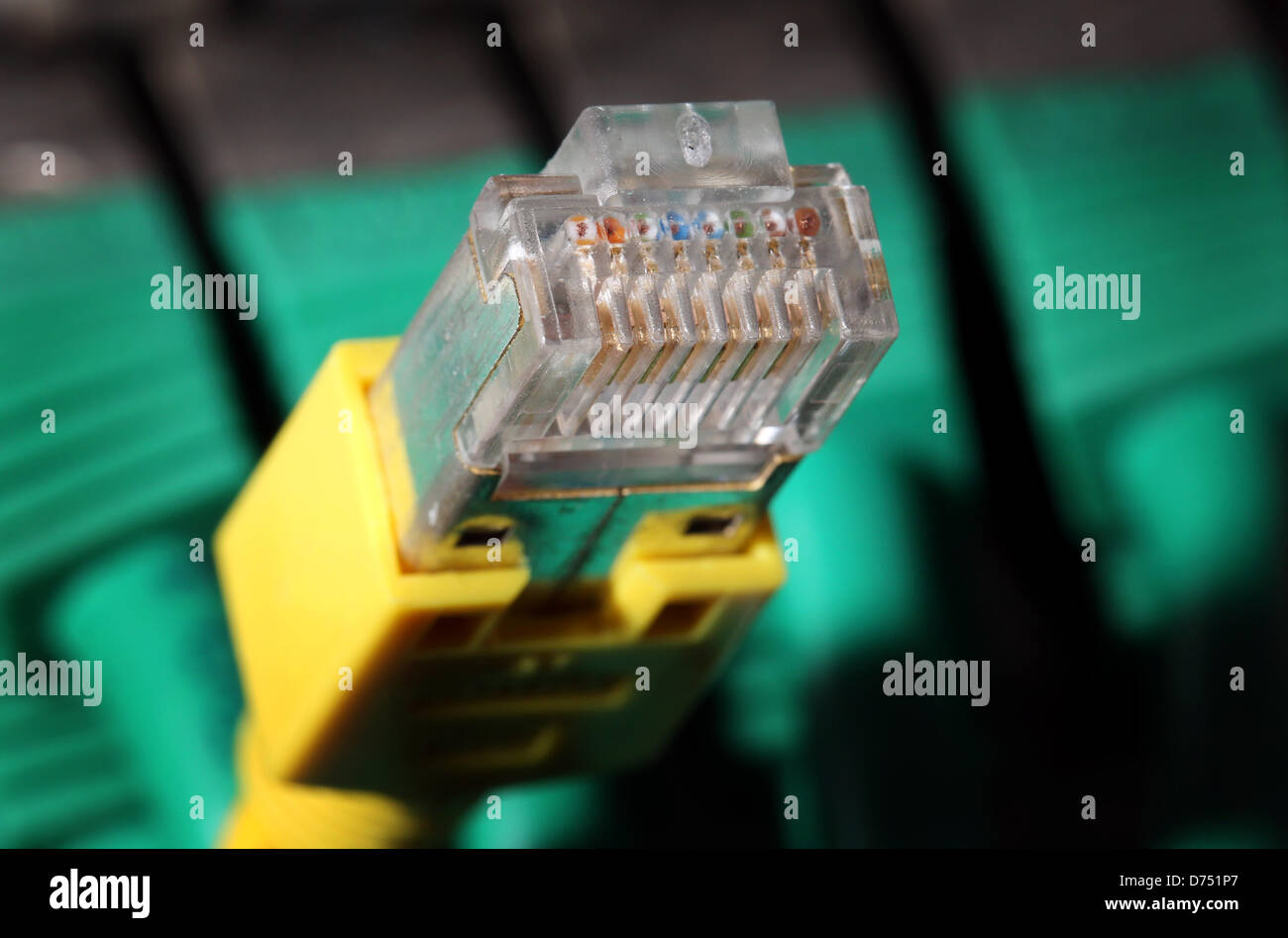 ILLUSTRATION - An illustrated picture shows a network cable lying in ...