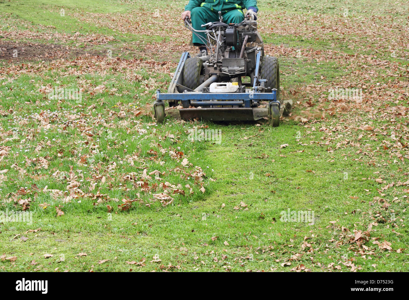 Mowing the grass motor lawn mower in the park Stock Photo - Alamy