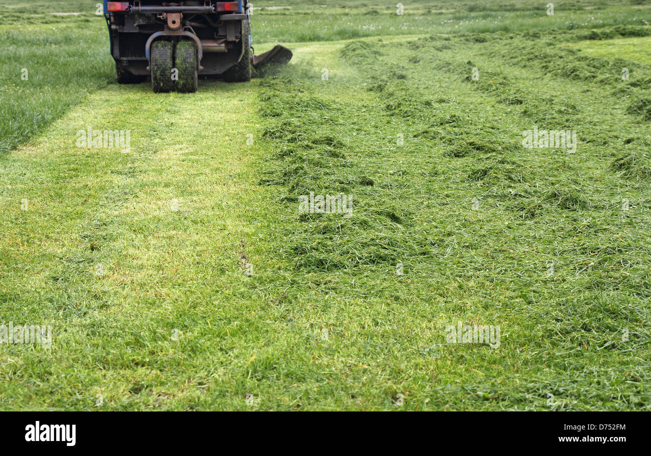 Mowing the grass motor lawn mower in the park Stock Photo - Alamy