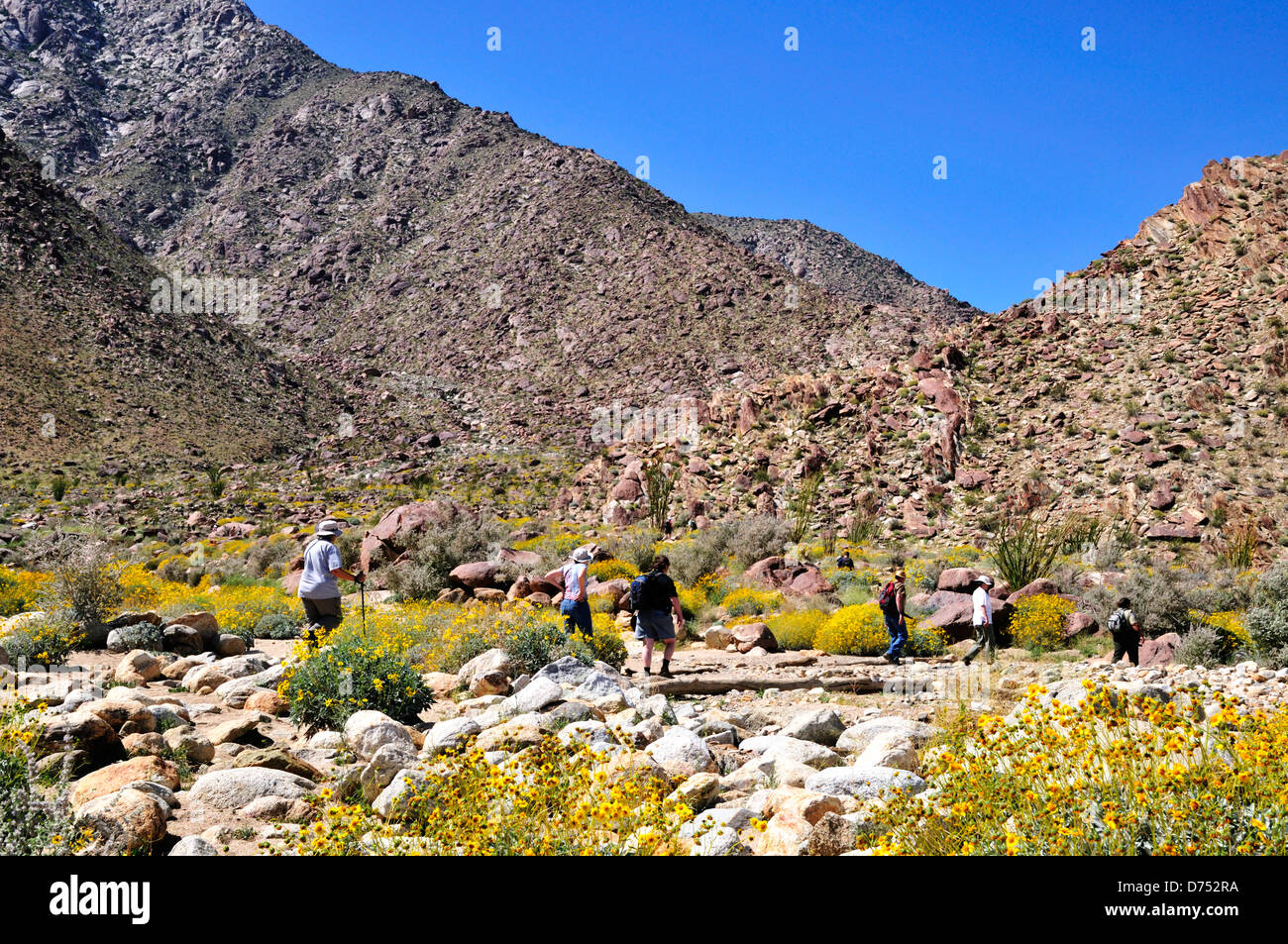 Borrego trail hi-res stock photography and images - Alamy