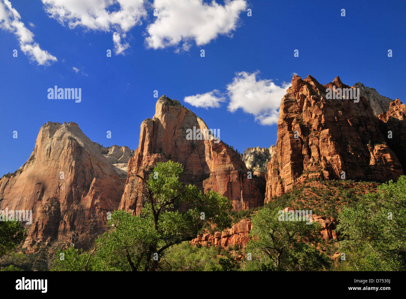 The three patriarchs, Zion canyon, Zion National Park Stock Photo - Alamy