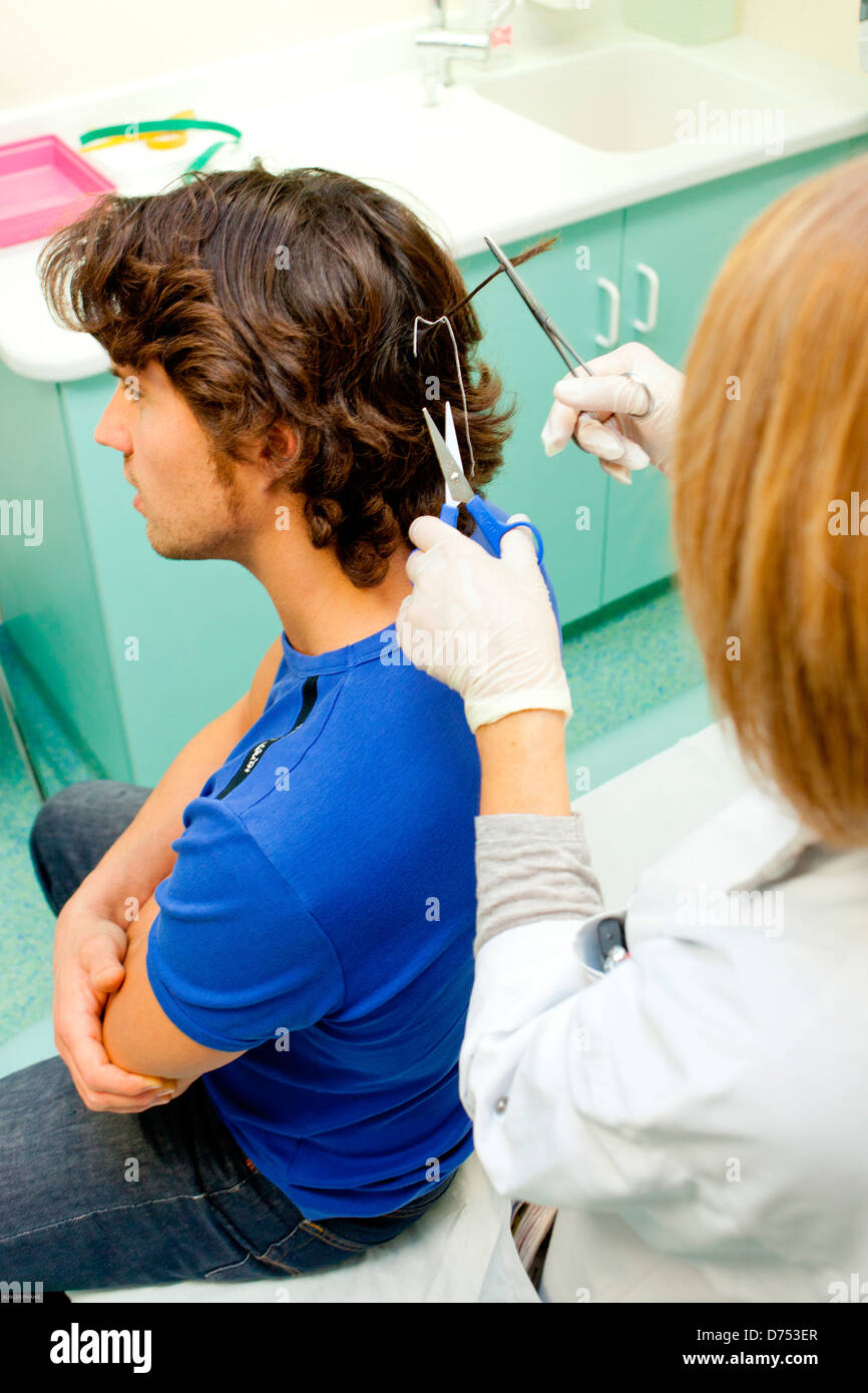 Taking a hair sample for toxicological analysis Stock Photo - Alamy