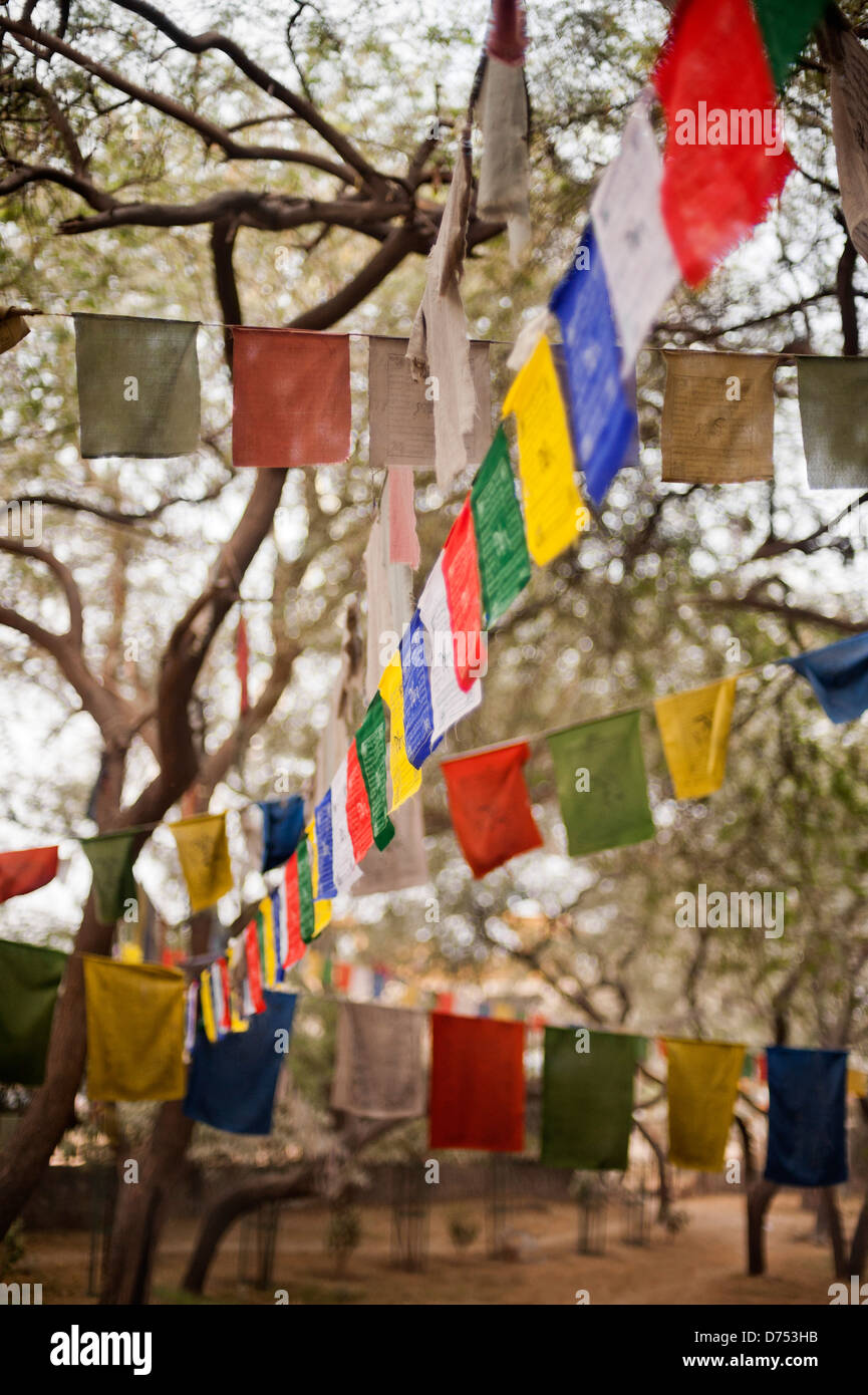 Multi color tibetan flags hi-res stock photography and images - Alamy