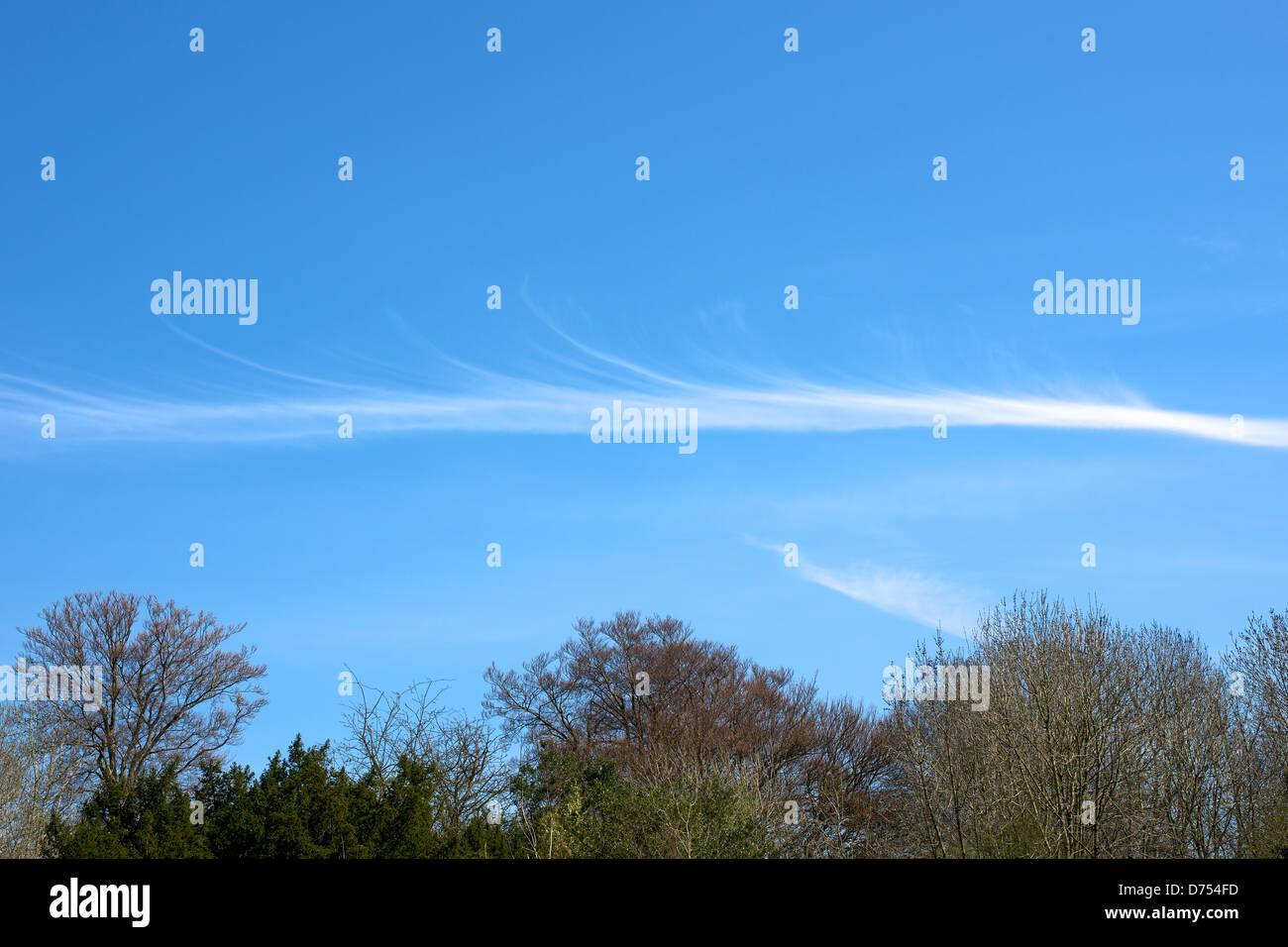 Jet Stream Upper tropospheric identifiable wave "Rossby" Cirrus Clouds ...