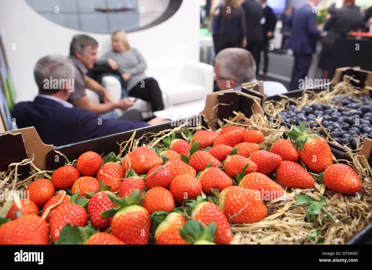Berlin, Germany, Fruit displays at Messestaenden at Fruit Logistica ...
