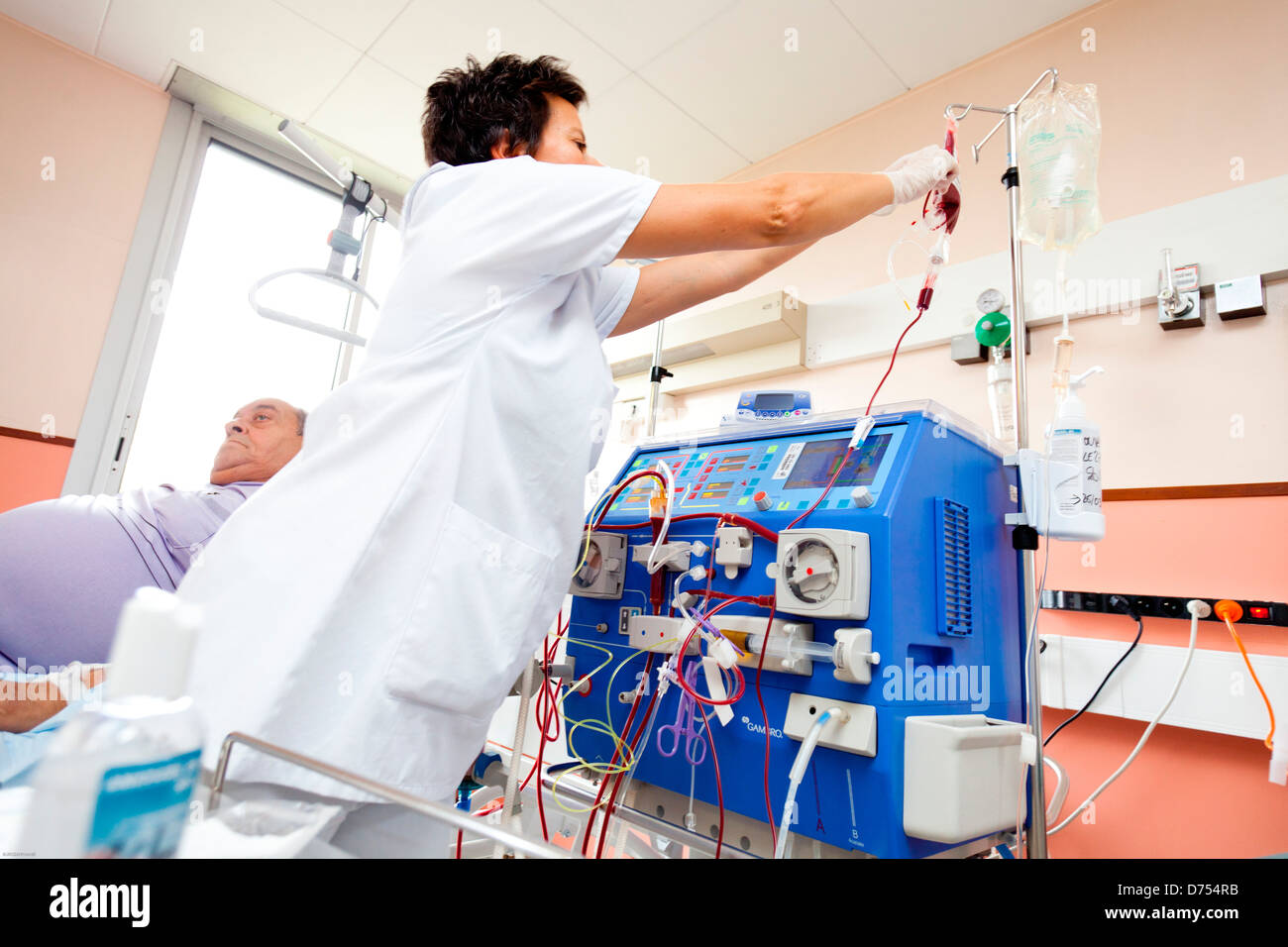 Blood transfusion anemic patient during hemodialysis session Nurse ...