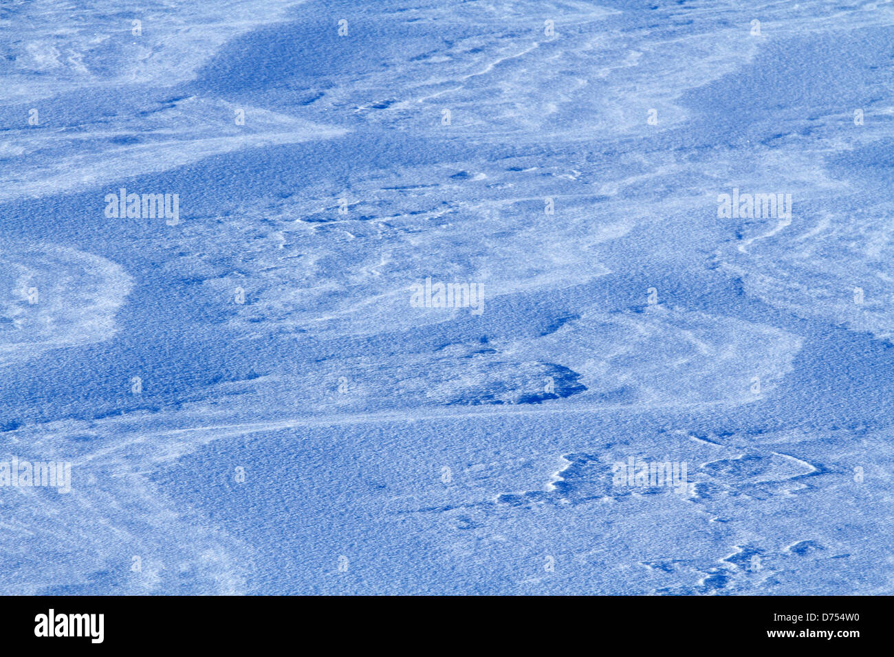 Detail of forms in the snow Stock Photo - Alamy