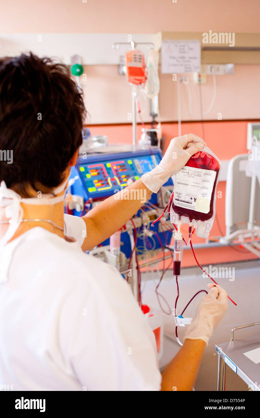 Blood transfusion anemic patient during hemodialysis session Nurse ...