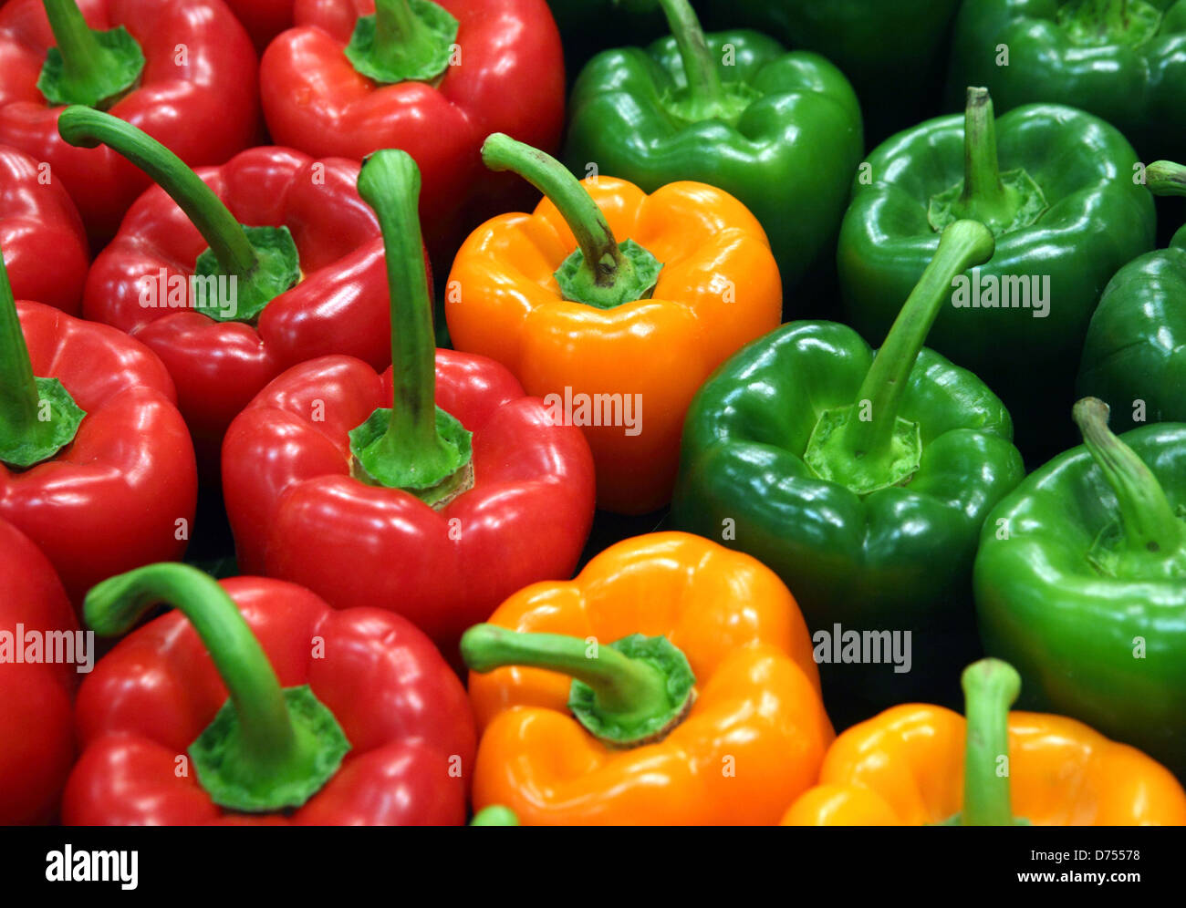 Berlin, Germany, peppers at Fruit Logistica Stock Photo - Alamy