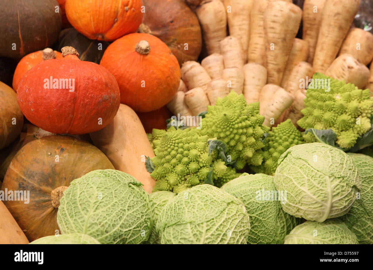 Berlin, Germany, vegetables at Fruit Logistica Stock Photo - Alamy
