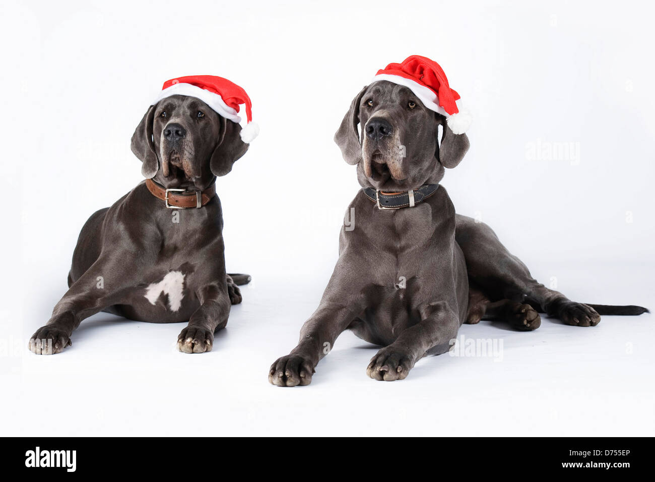 Have great time Cut Out Stock Images & Pictures - Alamy