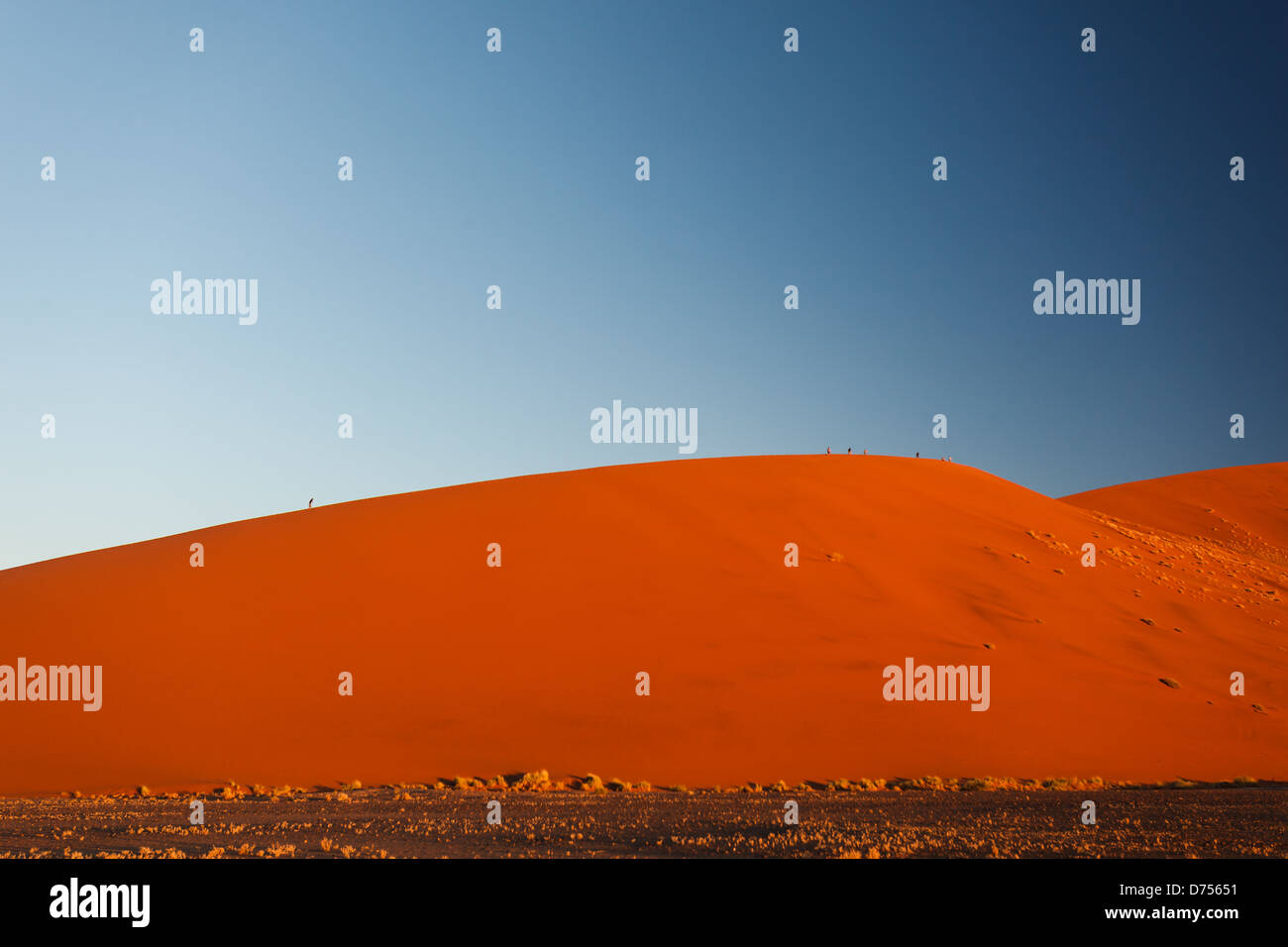 Orange Namibian sand dunes rise softly from desert floor Stock Photo ...
