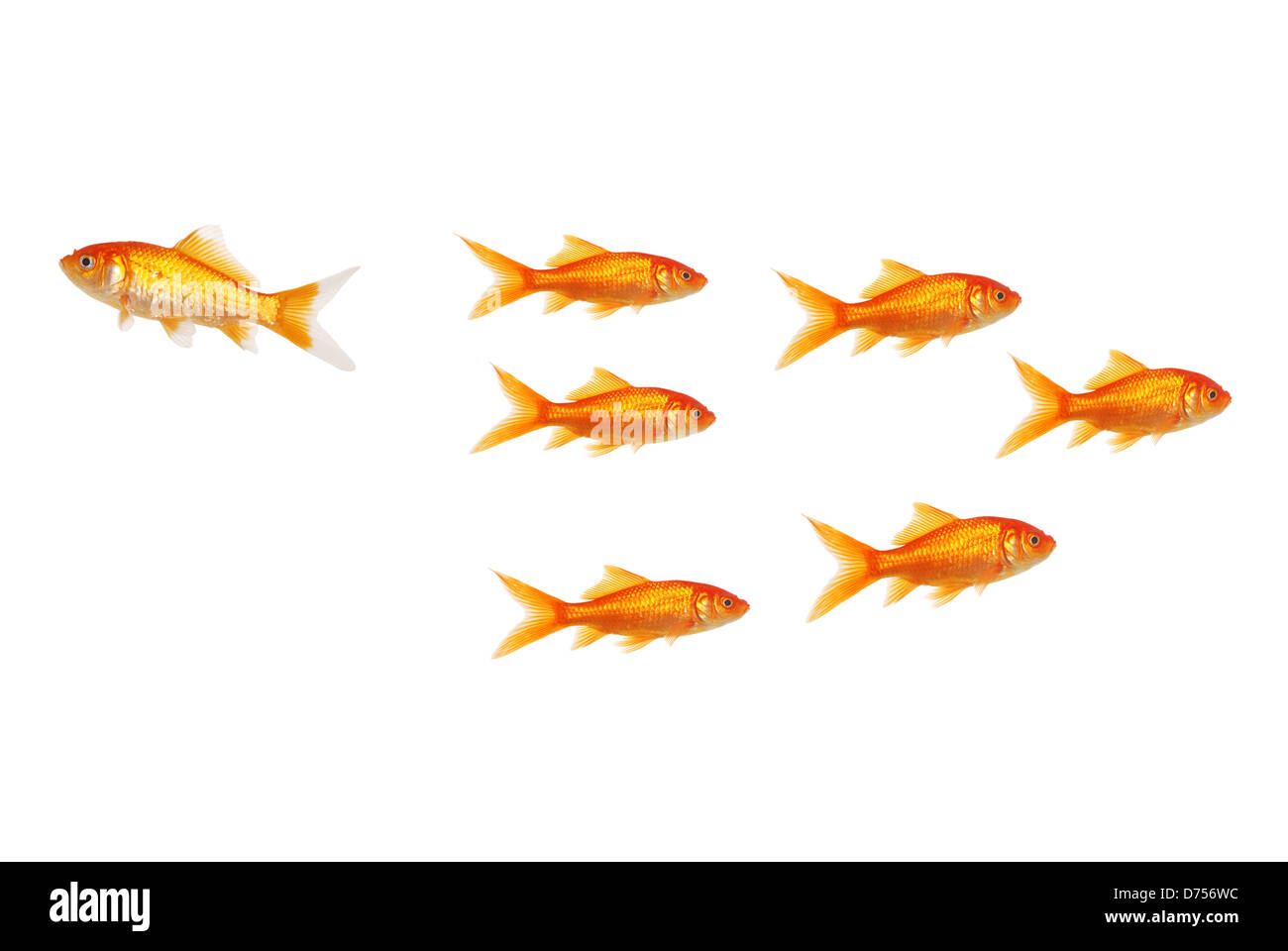 Own under Cut Out Stock Images & Pictures - Alamy