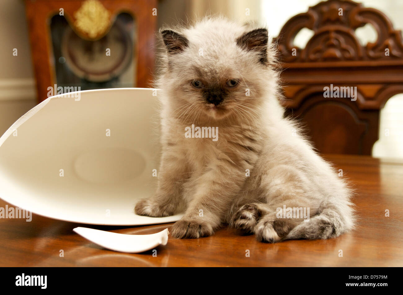 Broken vase hi-res stock photography and images - Alamy